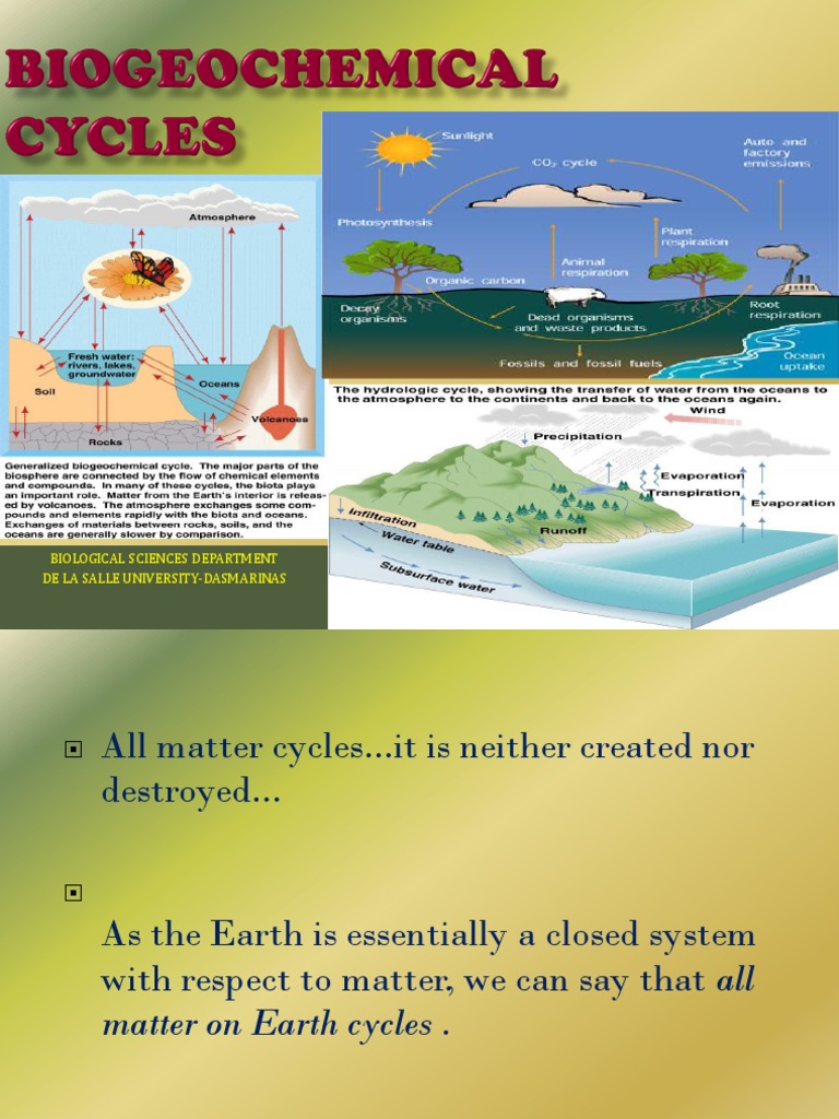 Biogeochemical Cycles | PDF | Carbon Dioxide In Earth's Atmosphere ...