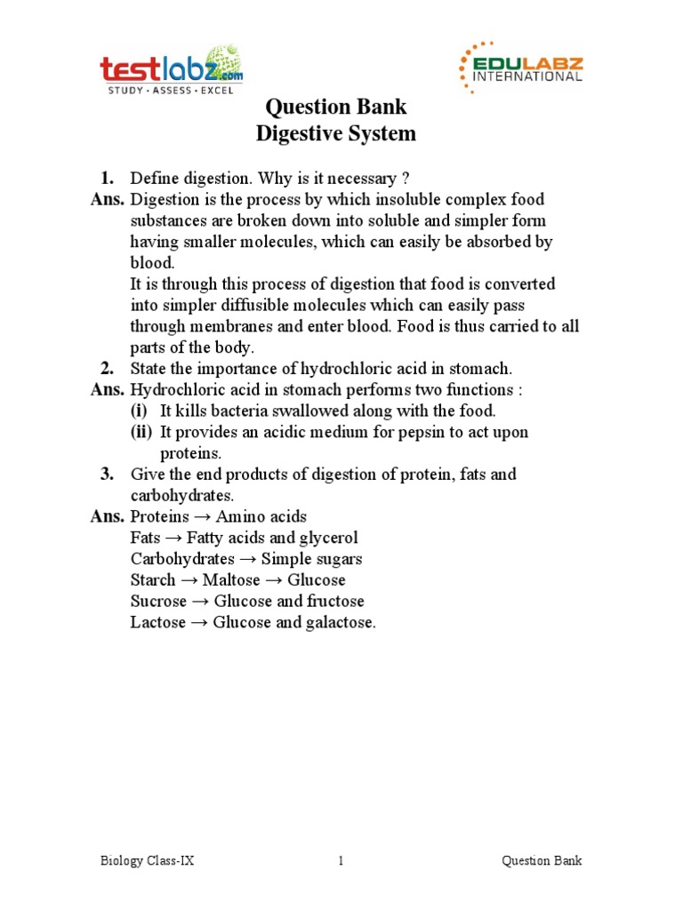 Question Bank Digestive System | PDF | Tooth | Digestion