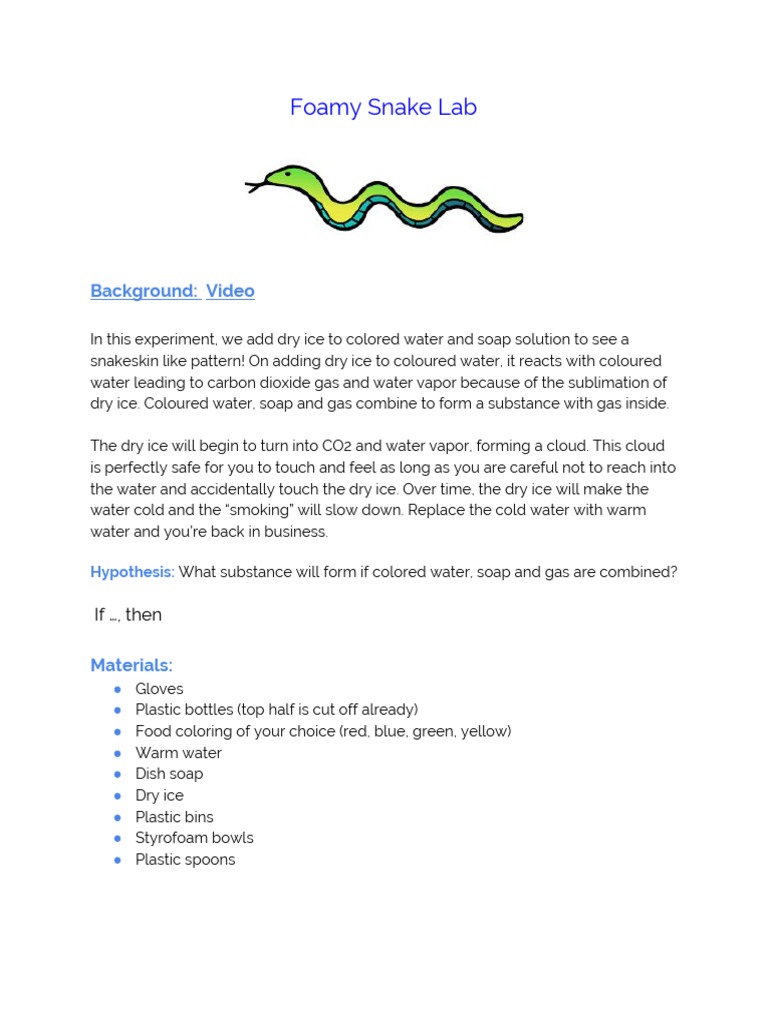 Foamy Snake Lab | PDF