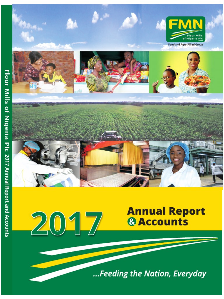 FMN PLC Annual Report 2017-Min | PDF | Board Of Directors | Corporate ...