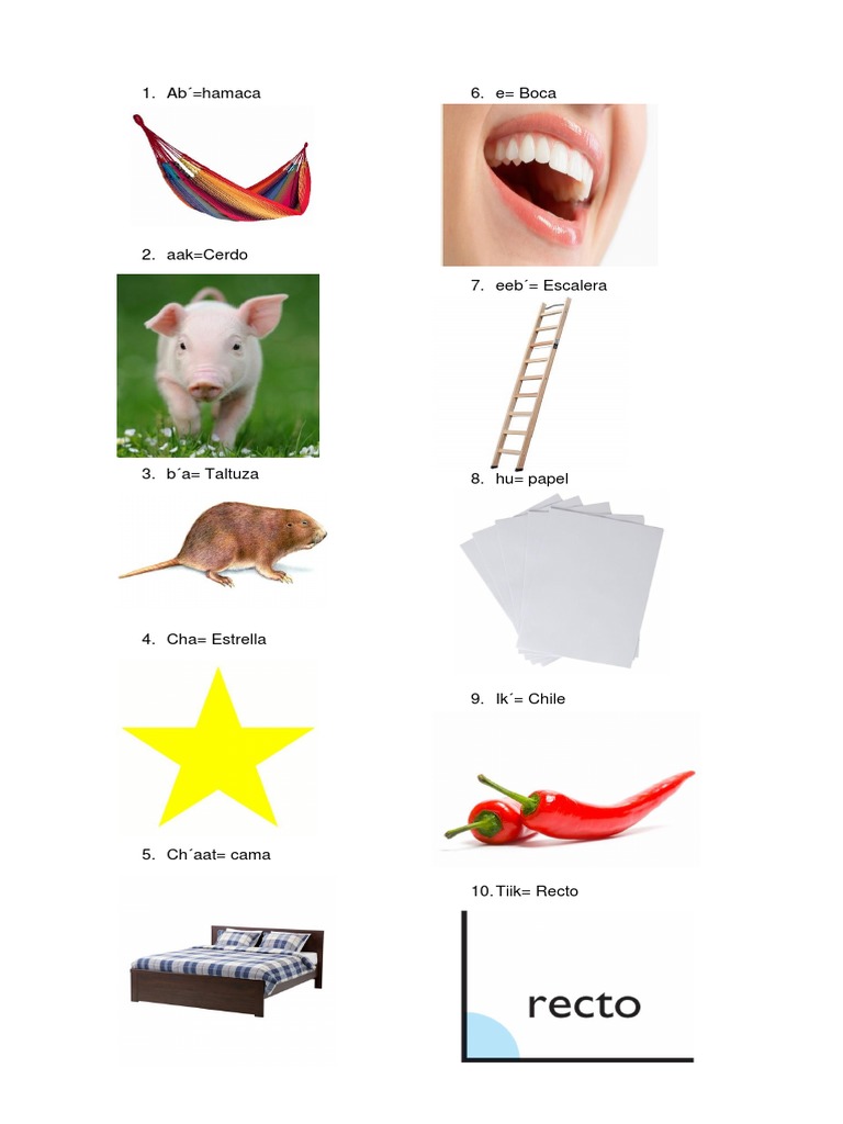 Abecedario En Q Eqchi Con Imagenes PDF