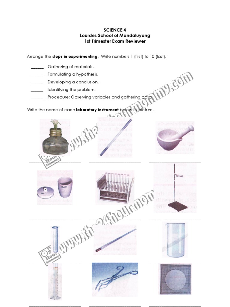 LSM Grade 4 Science 1st Trim Exam SY 2010 - 2011 | PDF | Digestion | Bone