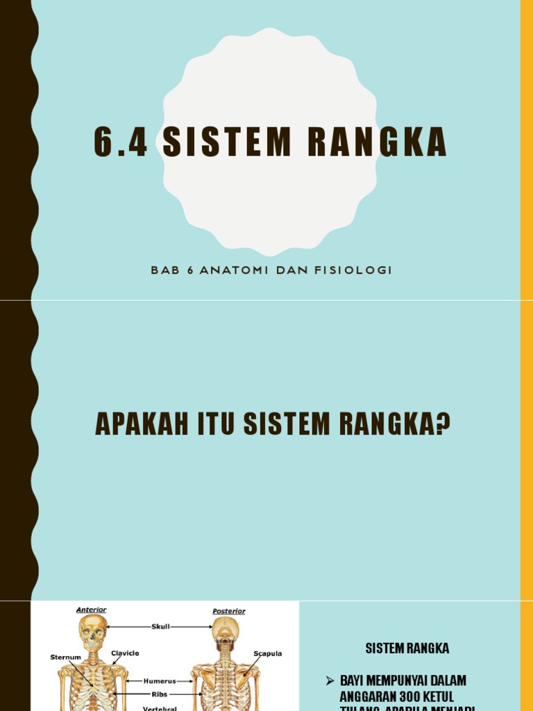 Sistem Rangka Tulang (STPM) | PDF