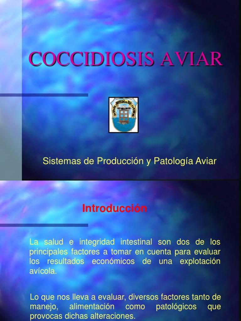 Clase de Coccidiosis 2 | PDF | Aves | Heces