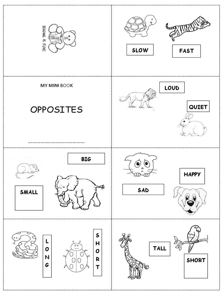 Mini Book Opposites 33157 | PDF