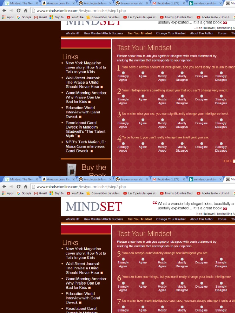 Mindset (Test) | PDF