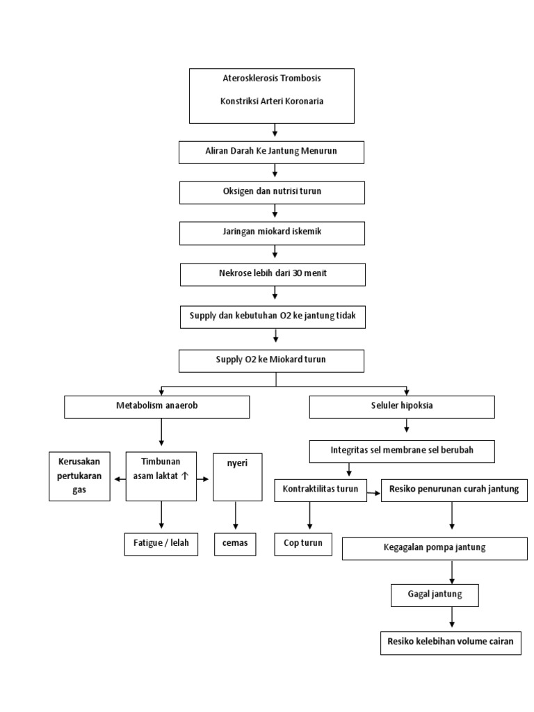 Pathway Acs | PDF