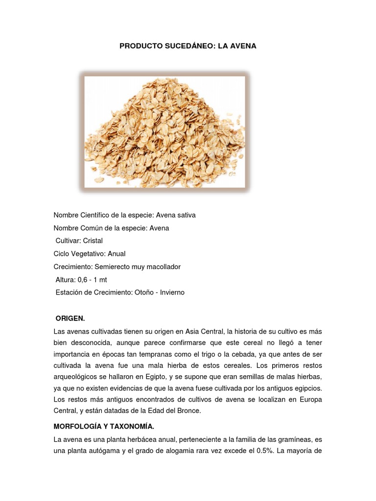 Producto Sucedaneo | PDF | Avena | Cereales