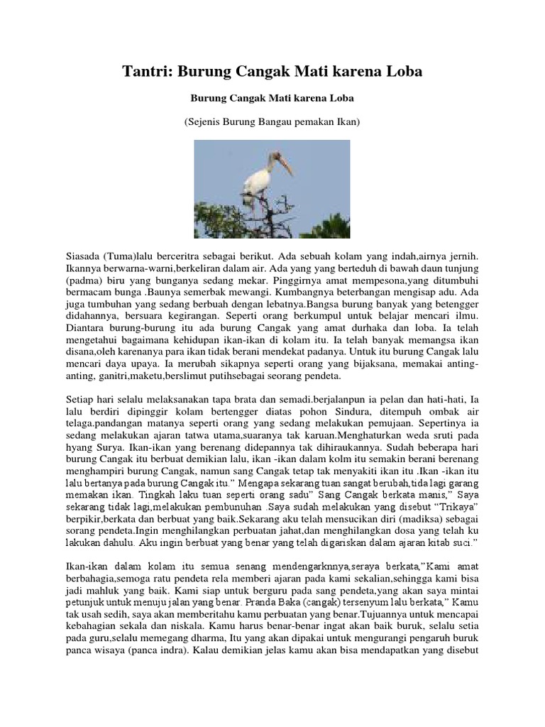 Burung Cangak | PDF