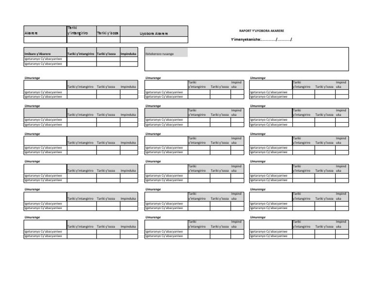 DM Reporting Template | PDF