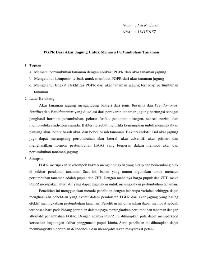 PGPR Akar Jagung | PDF