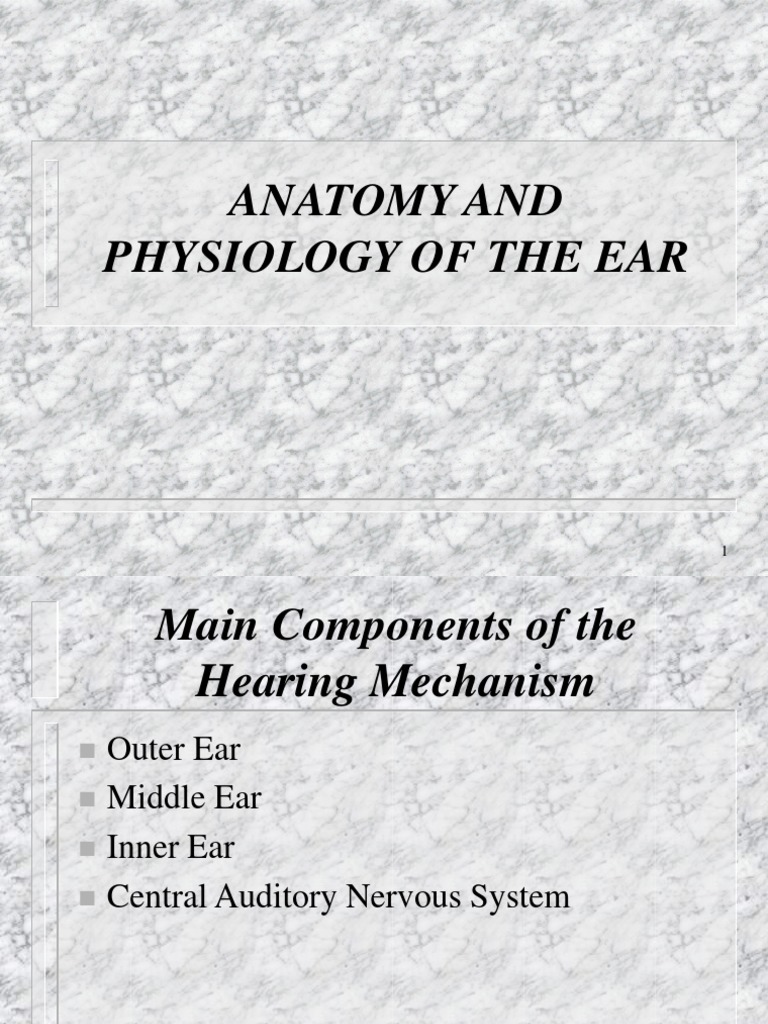 Anatomy and Physiology of The Ear | PDF | Ear | Auditory System