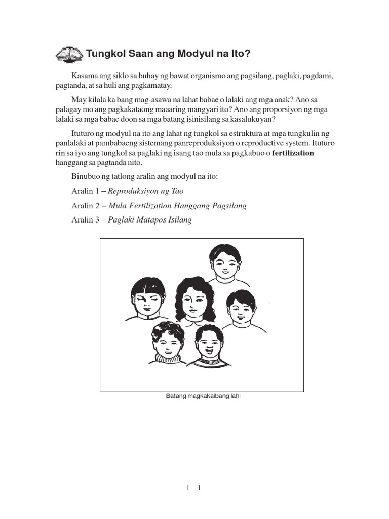 Ang Reproductive System | PDF