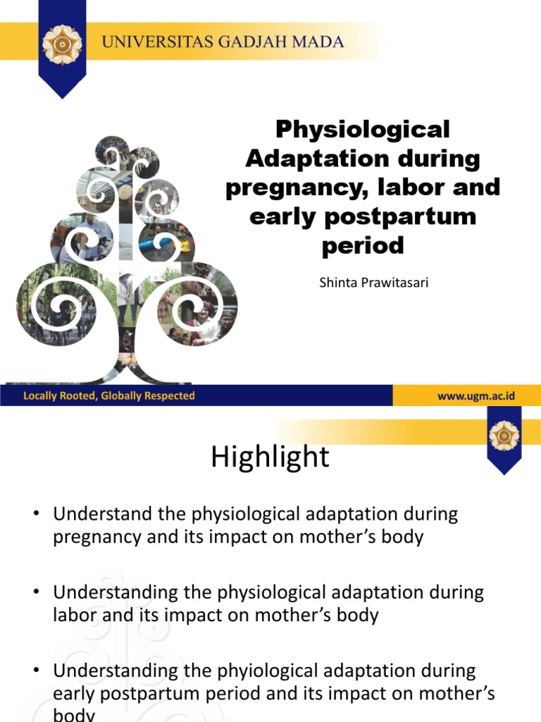 Physiological Adaptation During Pregnancy, Labor and Early Postpartum ...
