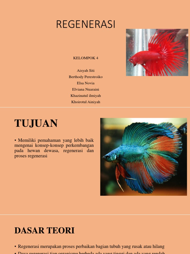 Mekanisme Regenerasi pada Hewan | PDF