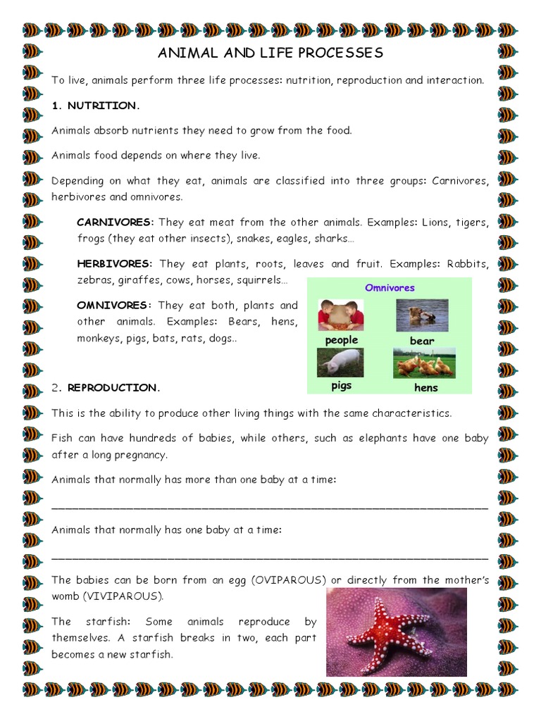 Animal and Life Processes. UNIT 4 | PDF | Giraffe | Camel