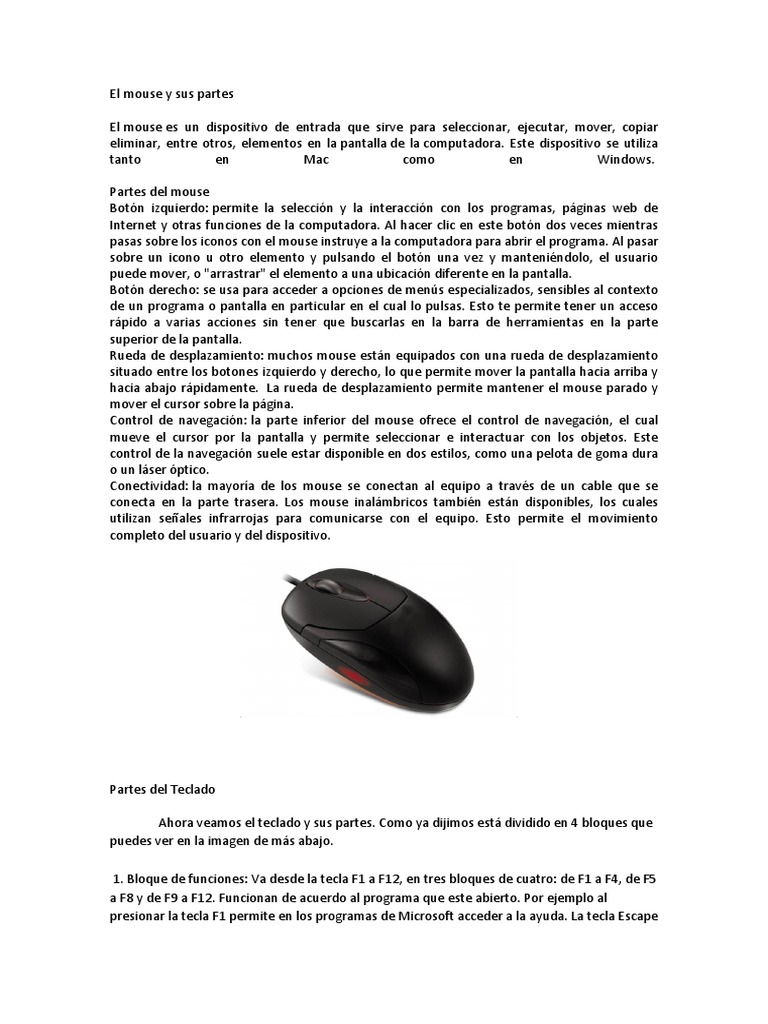 El Mouse y Sus Partes | PDF | Impresora (Computación) | Teclado