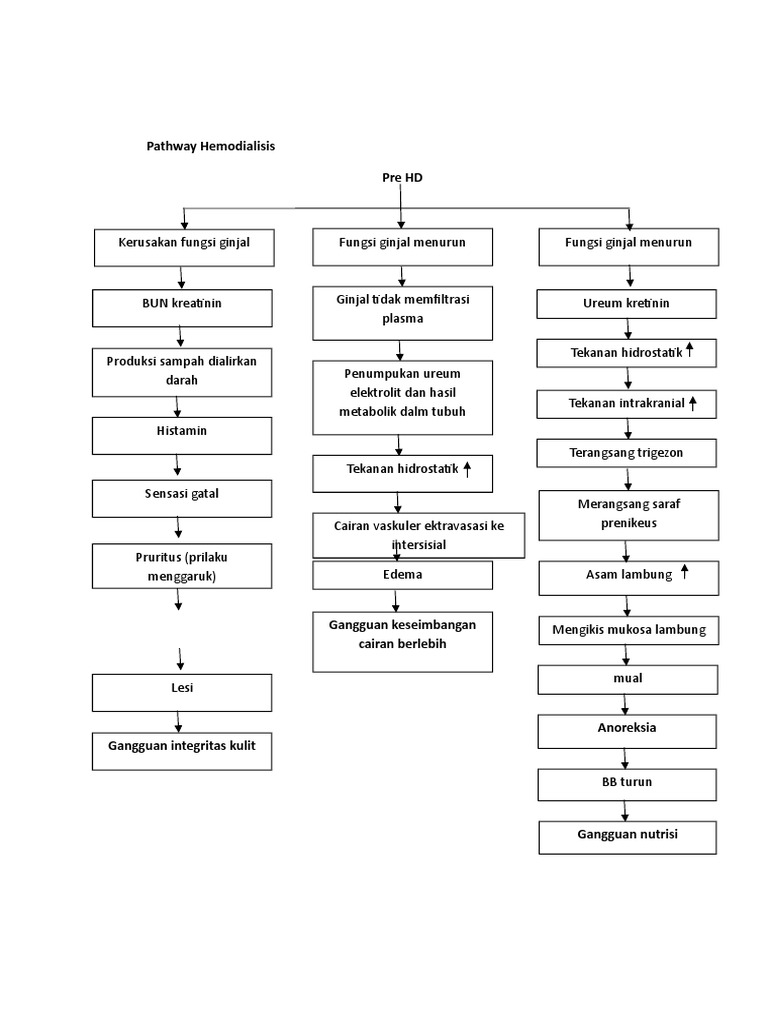 Pathway Hemodialisa | PDF