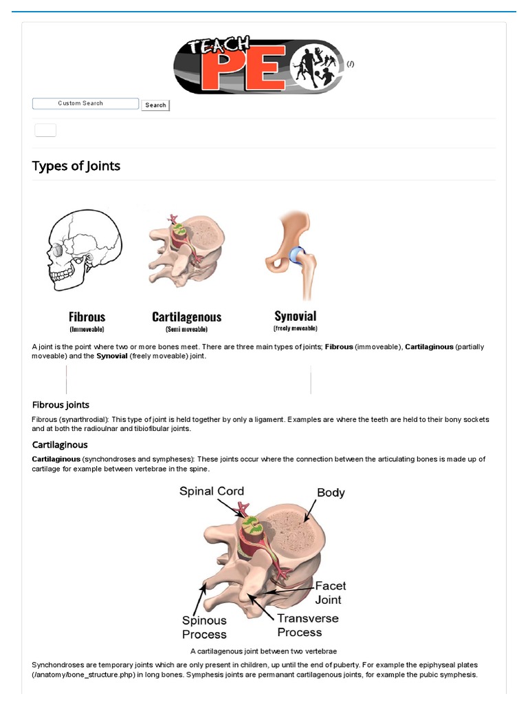 Types of Joints - The Skeleton & Bones - Anatomy & Physiology PDF | PDF ...