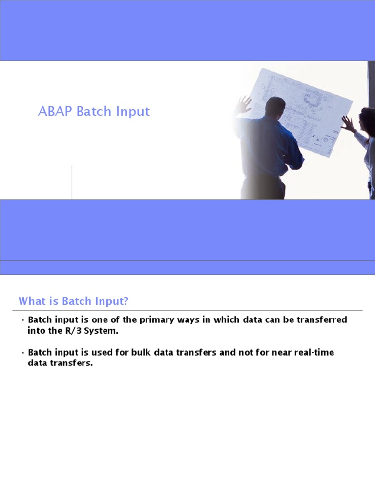 ABAP Batch Input: IBM Global Business Services | PDF | Computer File | Computer Programming