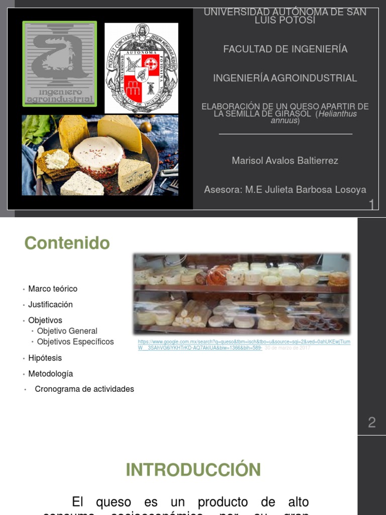 Presentación Elaboracion de Queso | PDF | Queso | Leche