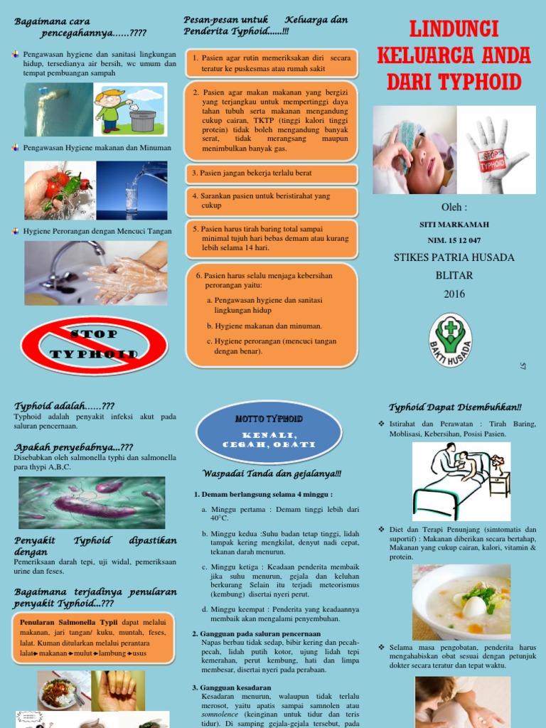 Leaflet Typhoid | PDF | Kesehatan Holistik