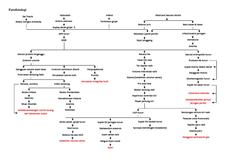 Patofisiologi: Kerusakan Integritas Kulit | PDF