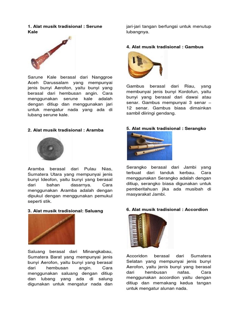 Alat Musik Tradisional Sumatera Selatan Accordion