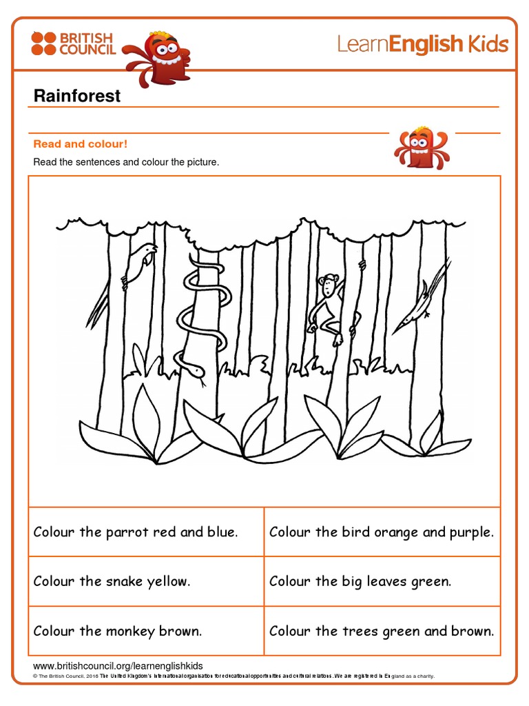 Colouring Pages Rainforest | PDF