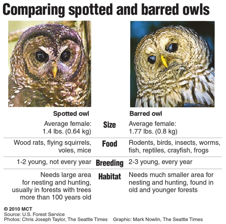 Comparing Barred and Spotted Owls in The Pacific Northwest | PDF