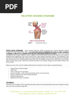 Lumbar Special Tests Guide | PDF | Anatomical Terms Of Motion | Vertebra