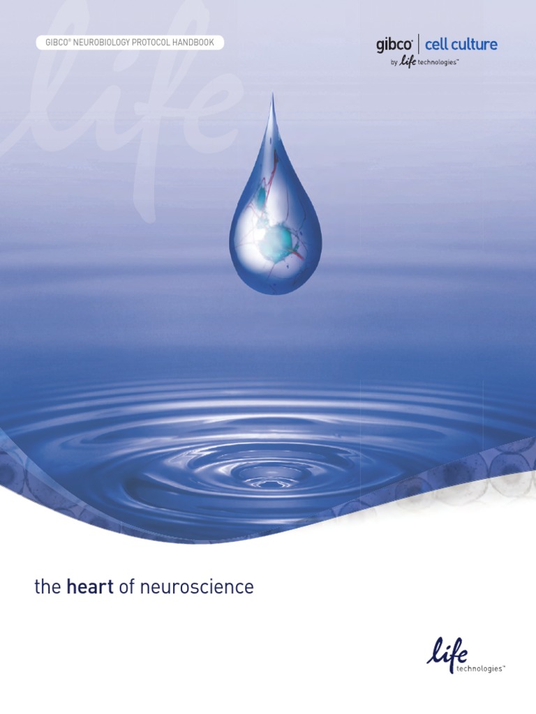 Gibco Neurobiology Protocols Handbook | PDF | Stem Cell | Cell Potency