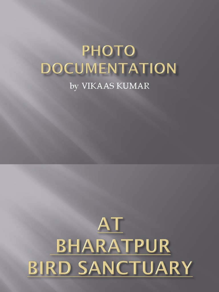 Photo Documentation | PDF