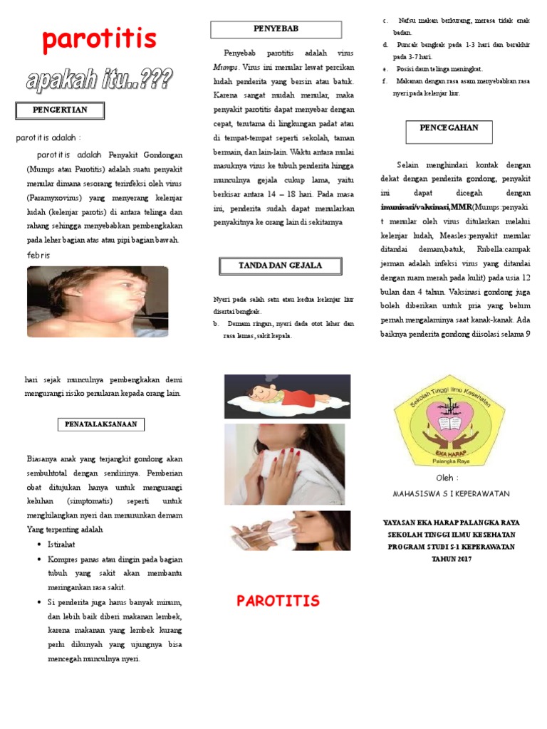 Leaflet Parotitis | PDF
