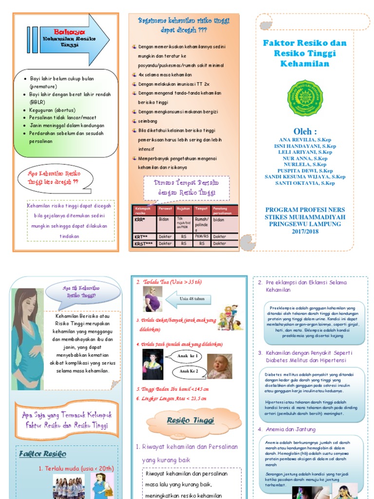 Leaflet Tanda Resiko Kehamilan | PDF