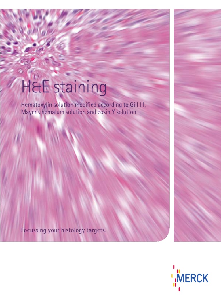 staning | Staining | Histology