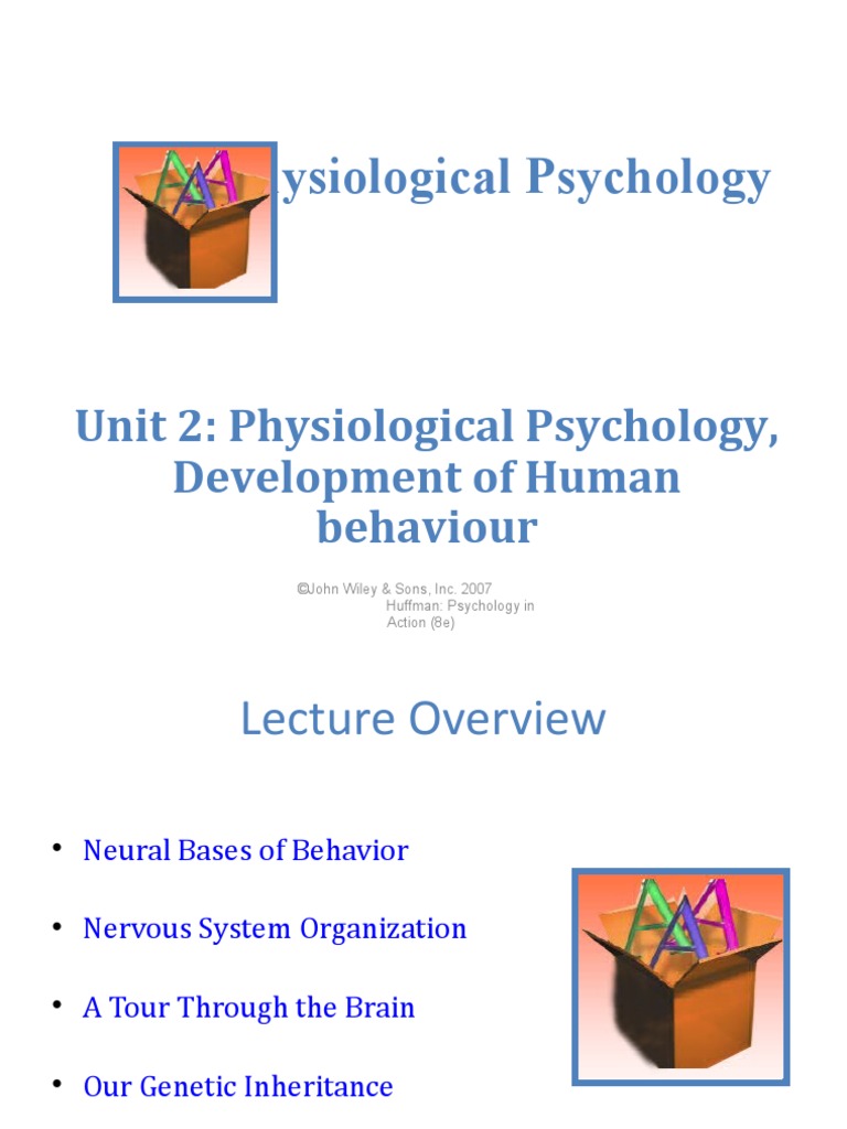 Unit 2: Physiological Psychology, Development of Human Behaviour | PDF ...