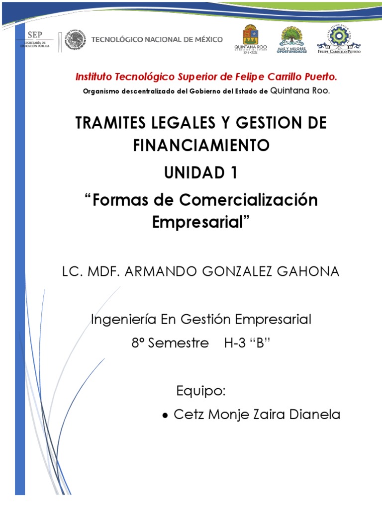Investigacion Comercio Formal e Informal | PDF | Comercio | Mercado ...