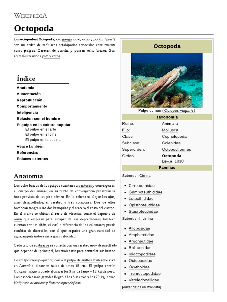 Octopoda | PDF | Pulpo | Zoología