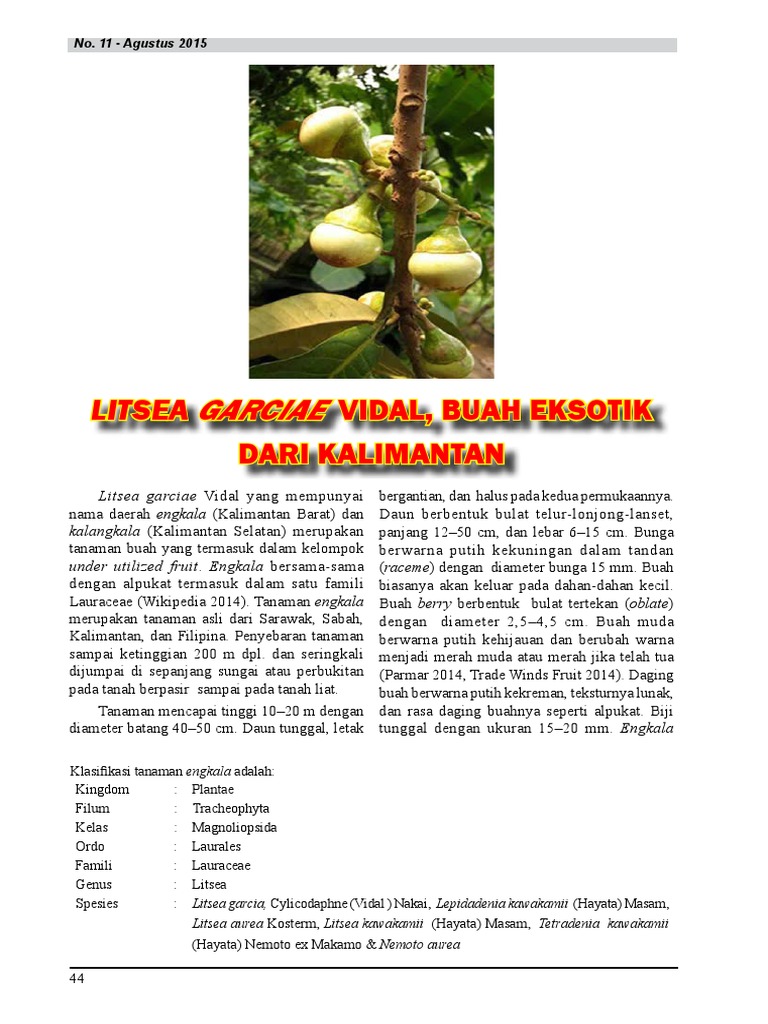 Tumbuhan Perdu | PDF
