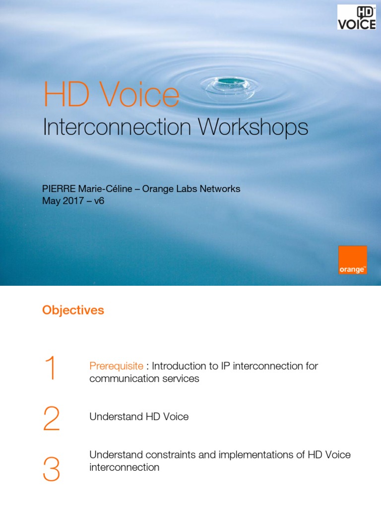 Interconnection WS HD Voice v6 0 PDF | PDF | Session Initiation ...