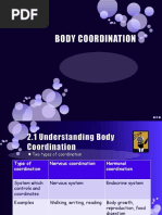 Lesson Plan Endocrine System | PDF | Endocrine System | Hormone