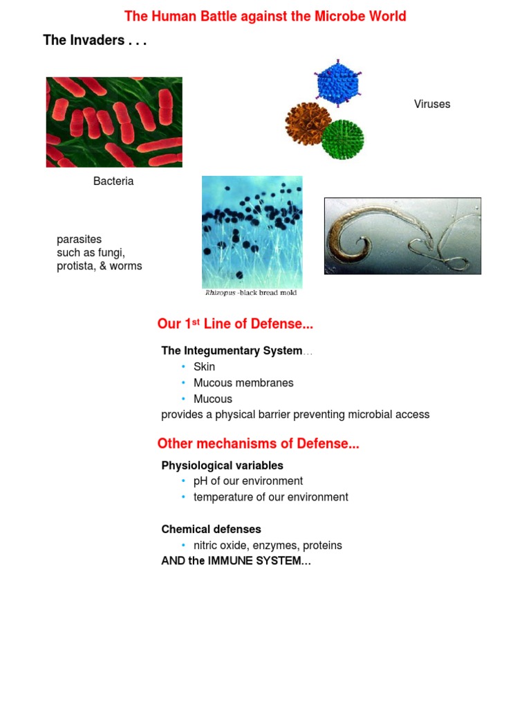 The Invaders - . .: The Human Battle Against The Microbe World | PDF ...
