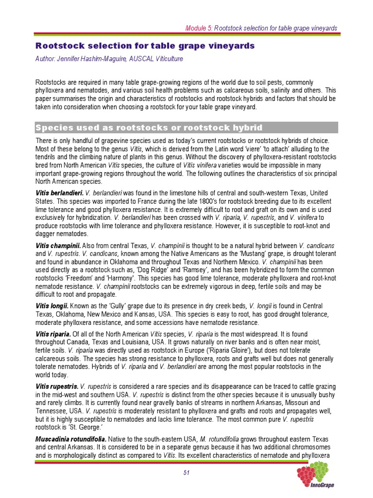 Rootstock Selection For Table Grape Vineyards Final | PDF | Vitis ...