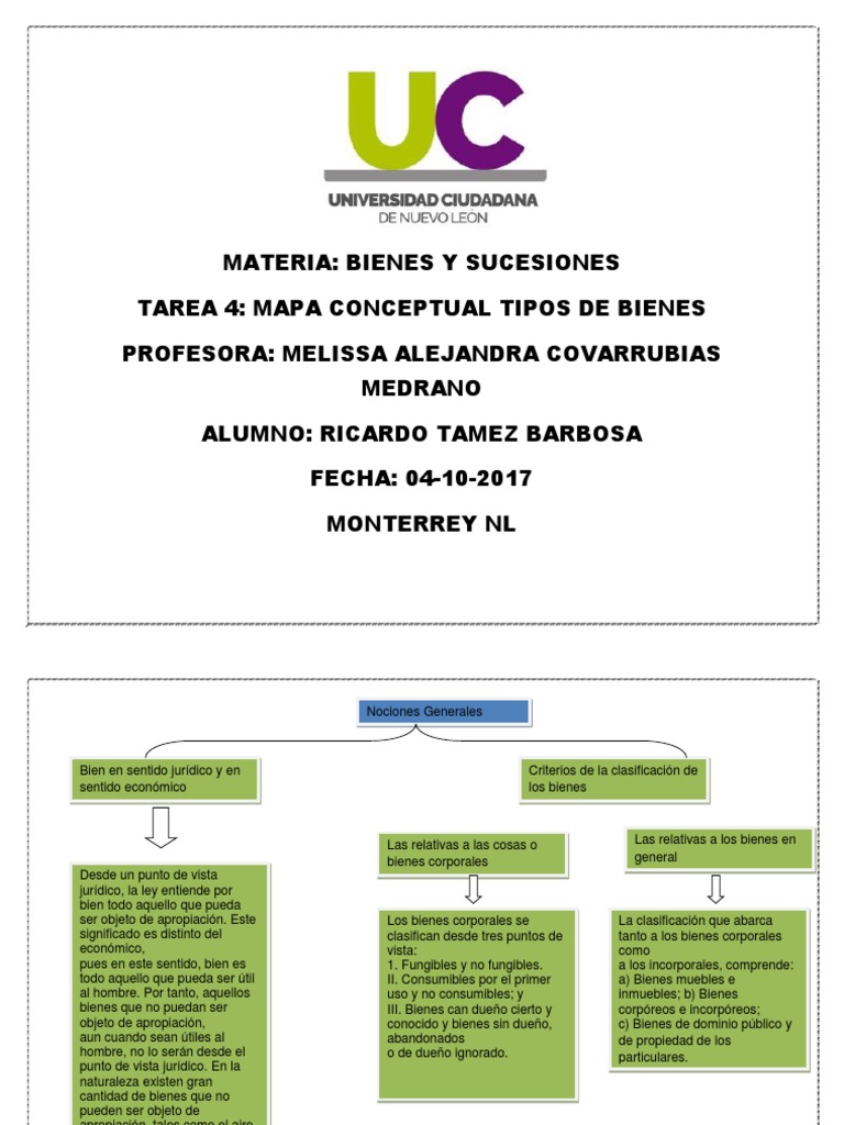 Mapa Conceptual Bienes y Sucesiones | PDF | Propiedad | Justicia