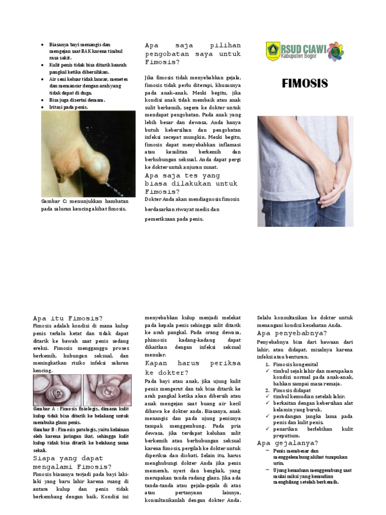 FIMOSIS Leaflet | PDF