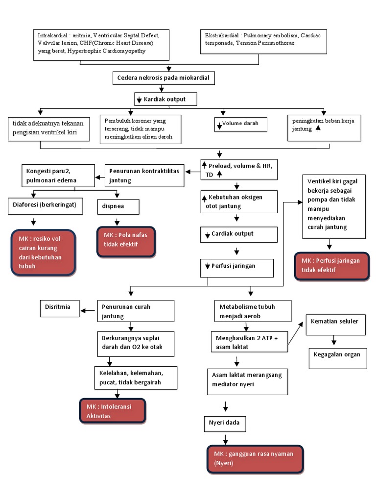 Woc Syok Kardiogenik | PDF