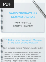 SCBA Cylinder Calculation | PDF | Breathing | Occupational Safety And ...