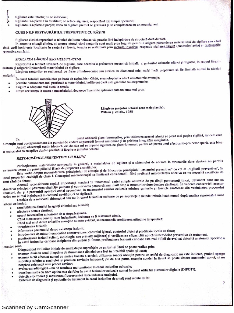 Restaurare 1 | PDF