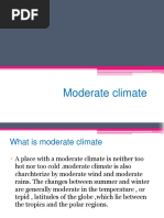 COFFEE SHOP - Case Study | PDF | Temperate Climate | Climate